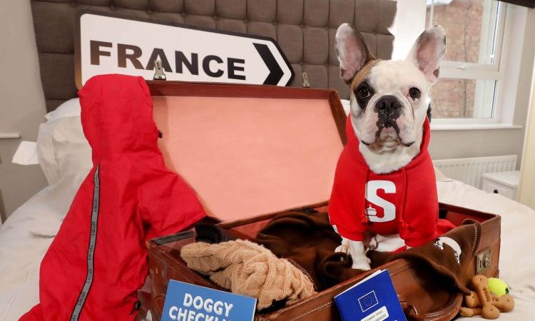 Do Stena Line Take Dogs
